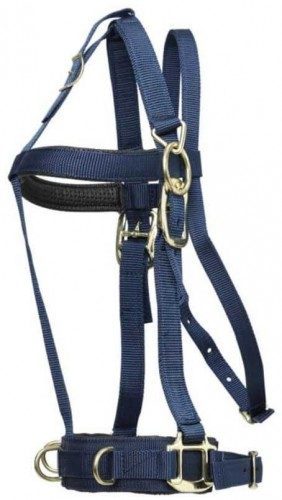 Products - Lunge Equipment