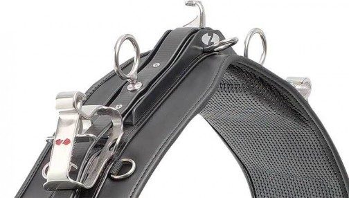Products - Racing - Harness